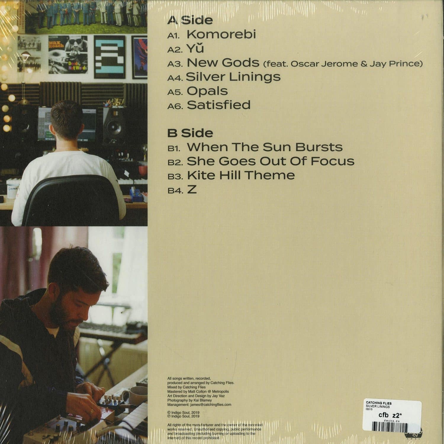 Catching Flies - SILVER LININGS