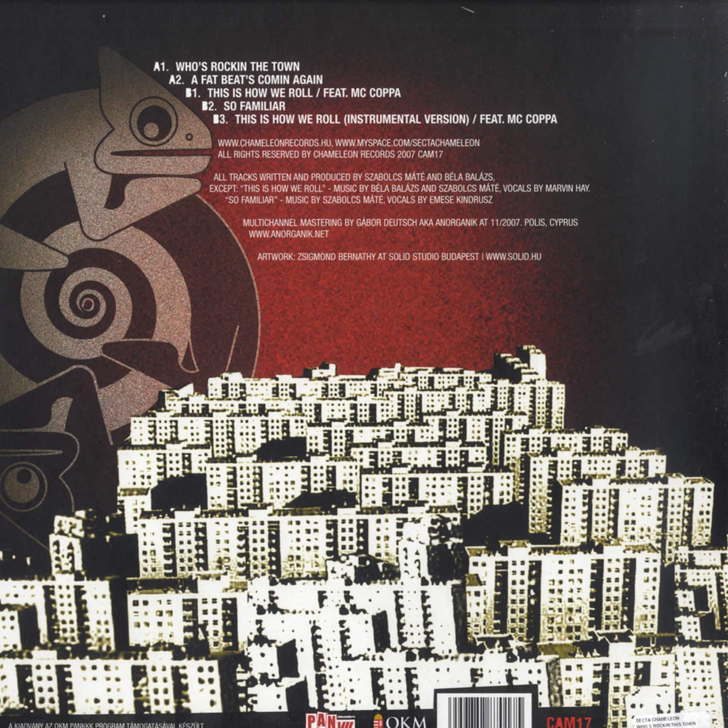 Secta Chameleon - WHO S ROCKIN THIS TOWN