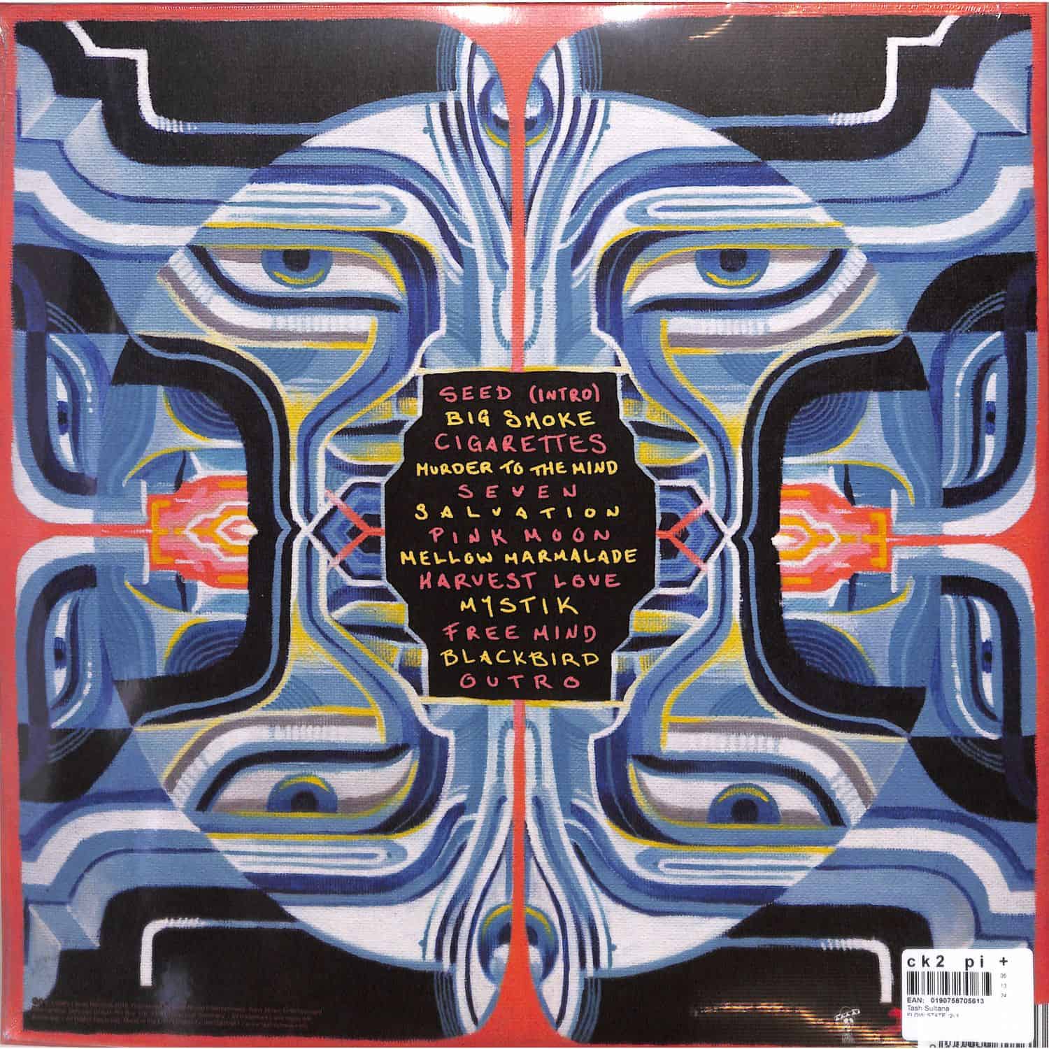 Tash Sultana - FLOW STATE