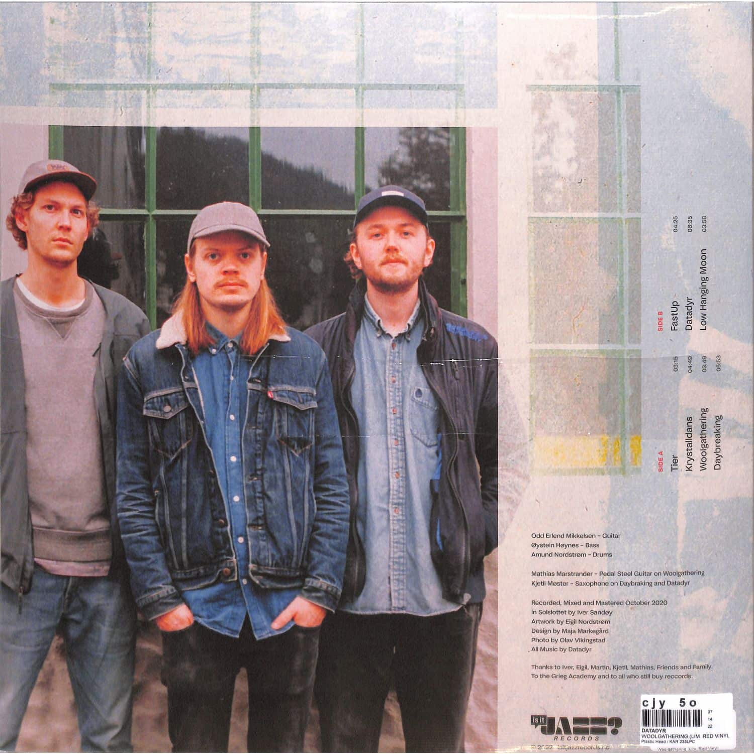 Datadyr - WOOLGATHERING